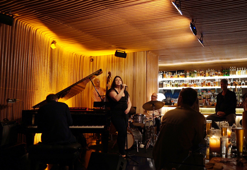 services - ws acoustics